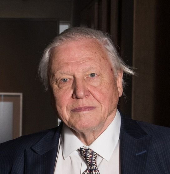 A Föld bajnoka címmel tüntette ki az ENSZ David Attenborough ...